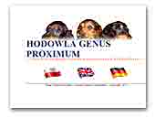 🇵🇱 Poland - Dog Breeders and Kennels - Hodowle psów rasowych ...