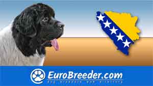 Bosnia and Herzegovina - Dog Breeders and Kennels - EuroBreeder.com