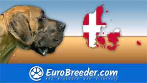 Denmark - Dog Breeders and Kennels - EuroBreeder.com