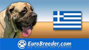 Greece - Dog Breeders and Kennels - EuroBreeder.com