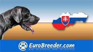 Slovakia - Dog Breeders and Kennels - EuroBreeder.com